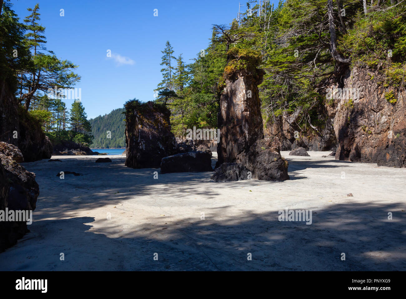 Beautiful seascape view of rocky beach on Pacific Ocean Coast. Taken in ...