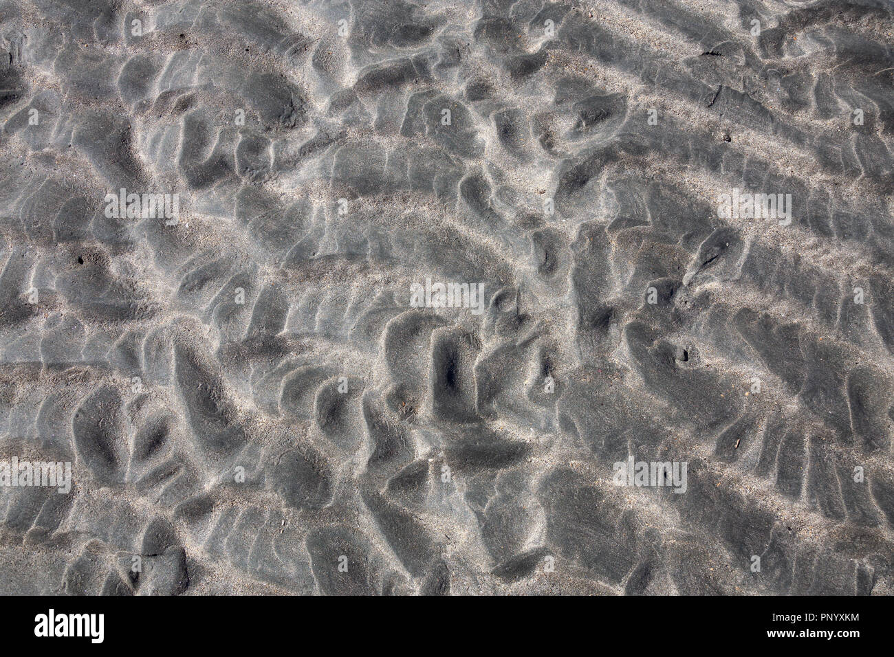 Sand formation on the beach. Taken in San Josef Bay, Northern Vancouver ...