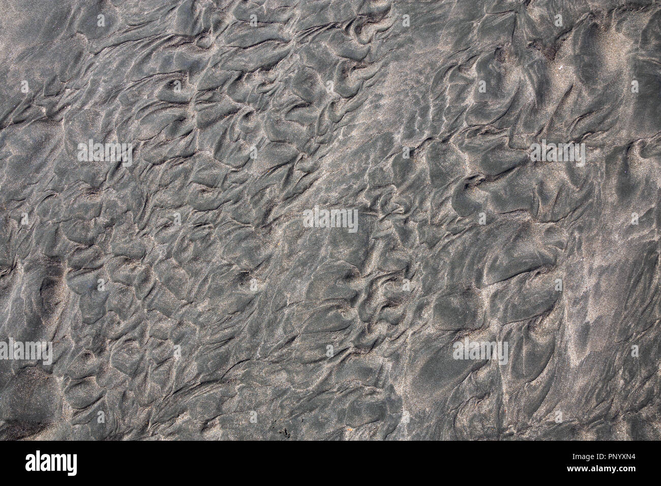 Sand formation on the beach. Taken in San Josef Bay, Northern Vancouver ...