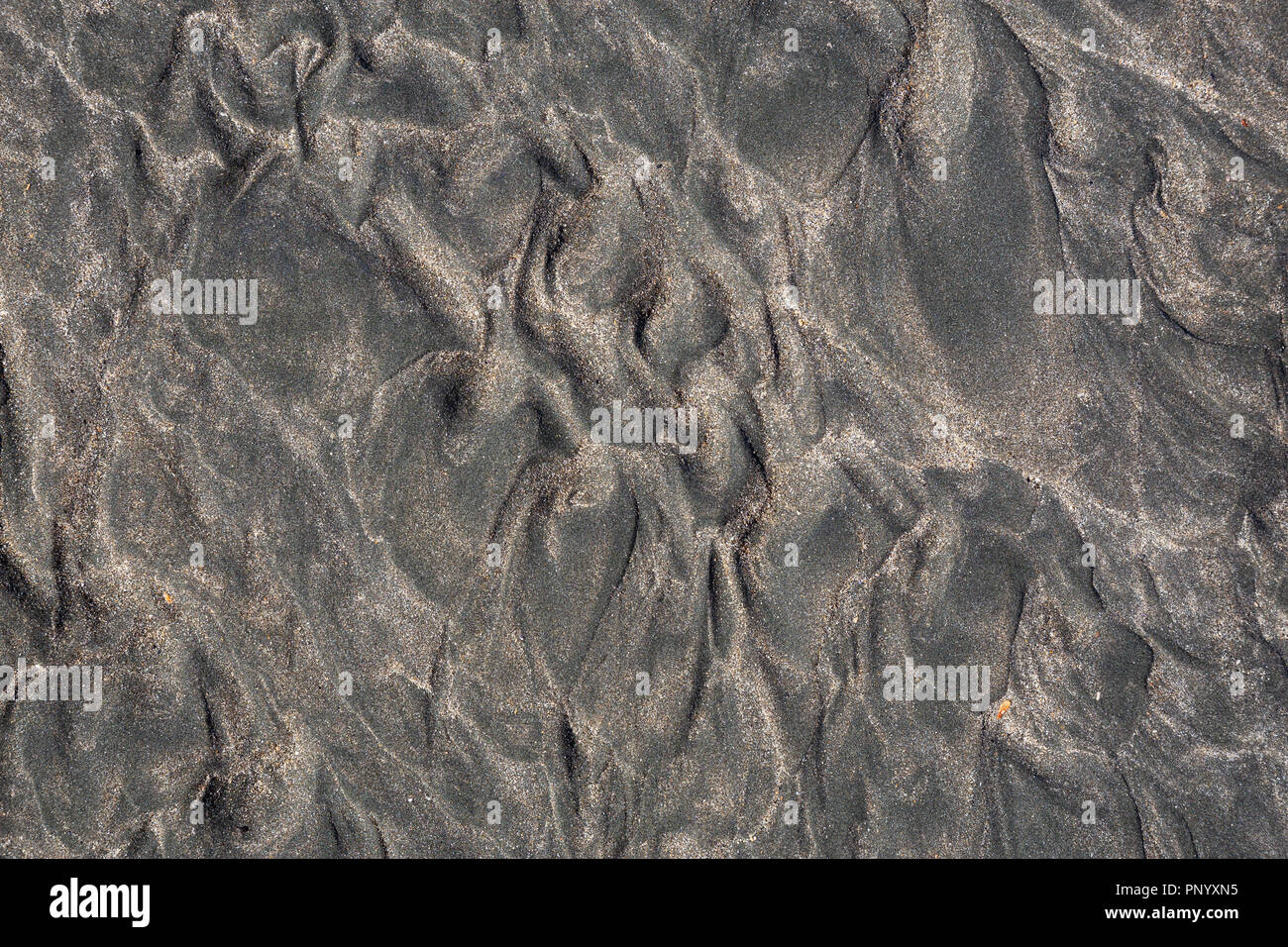 Sand formation on the beach. Taken in San Josef Bay, Northern Vancouver ...