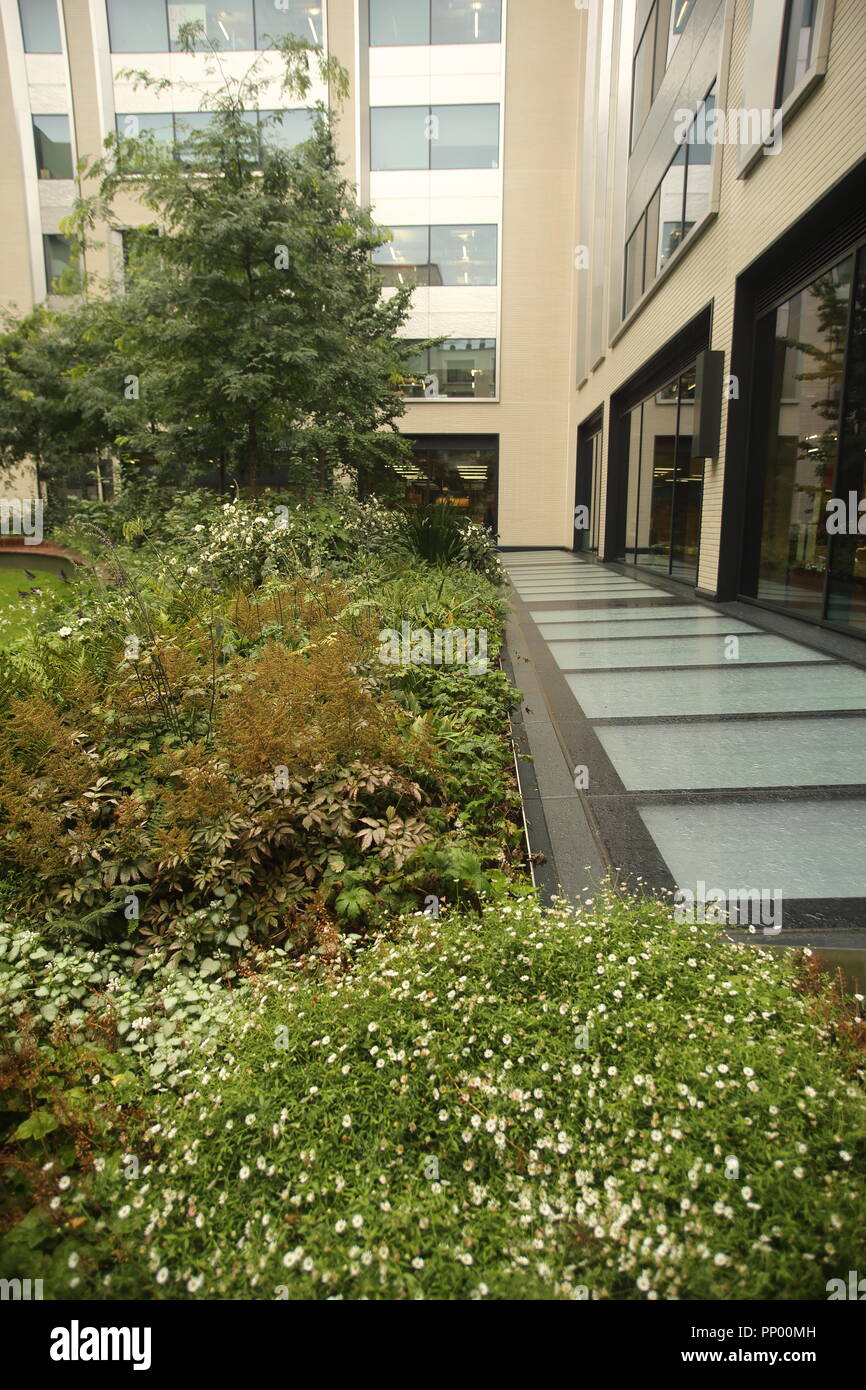 Rathbone square hi-res stock photography and images - Alamy