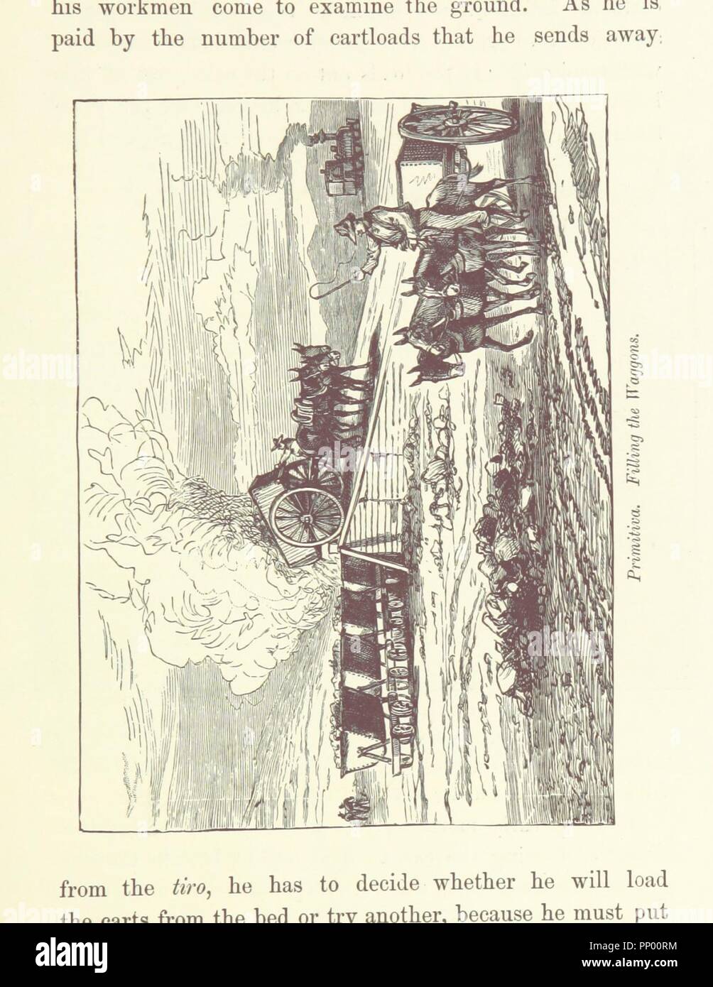 Image from page 239 of 'A Visit to Chile and the nitrate fields of ...