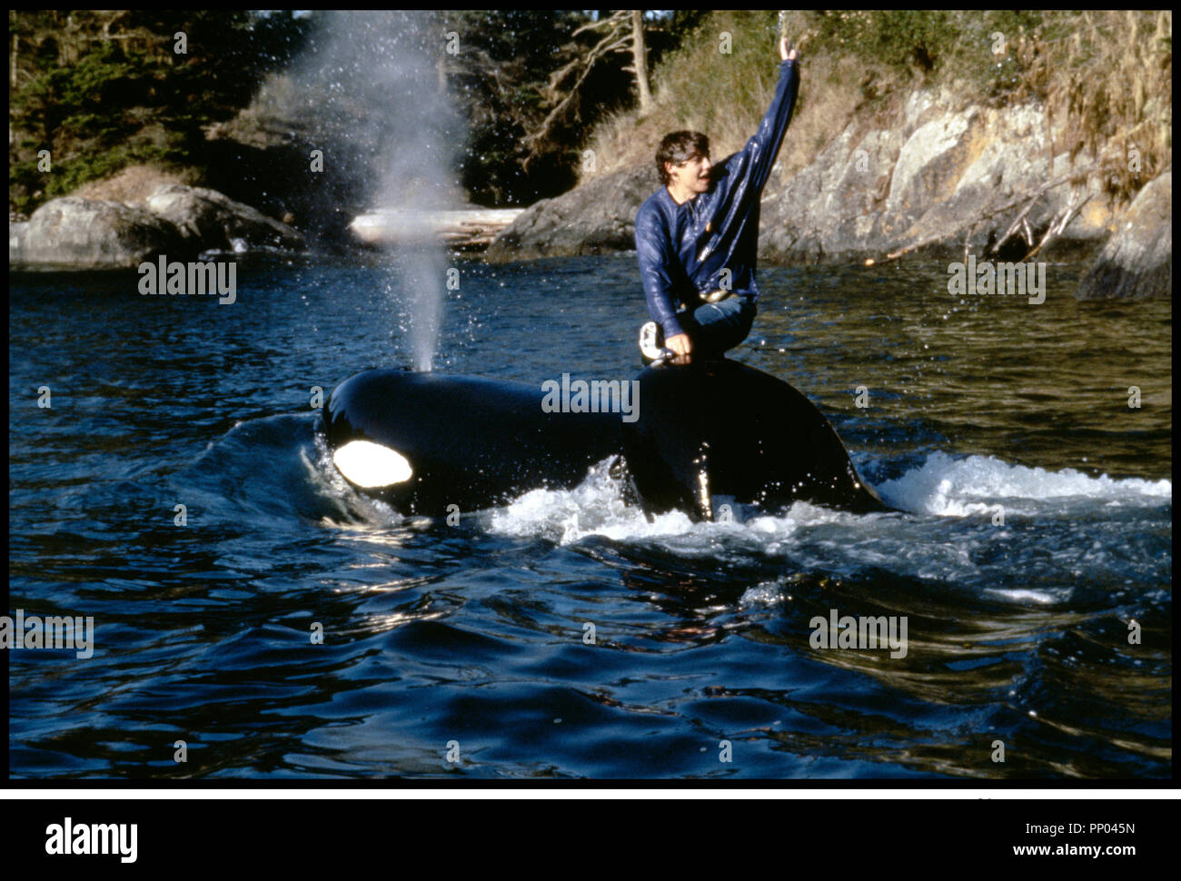 Free Willy 2 Stock Photos & Free Willy 2 Stock Images - Alamy
