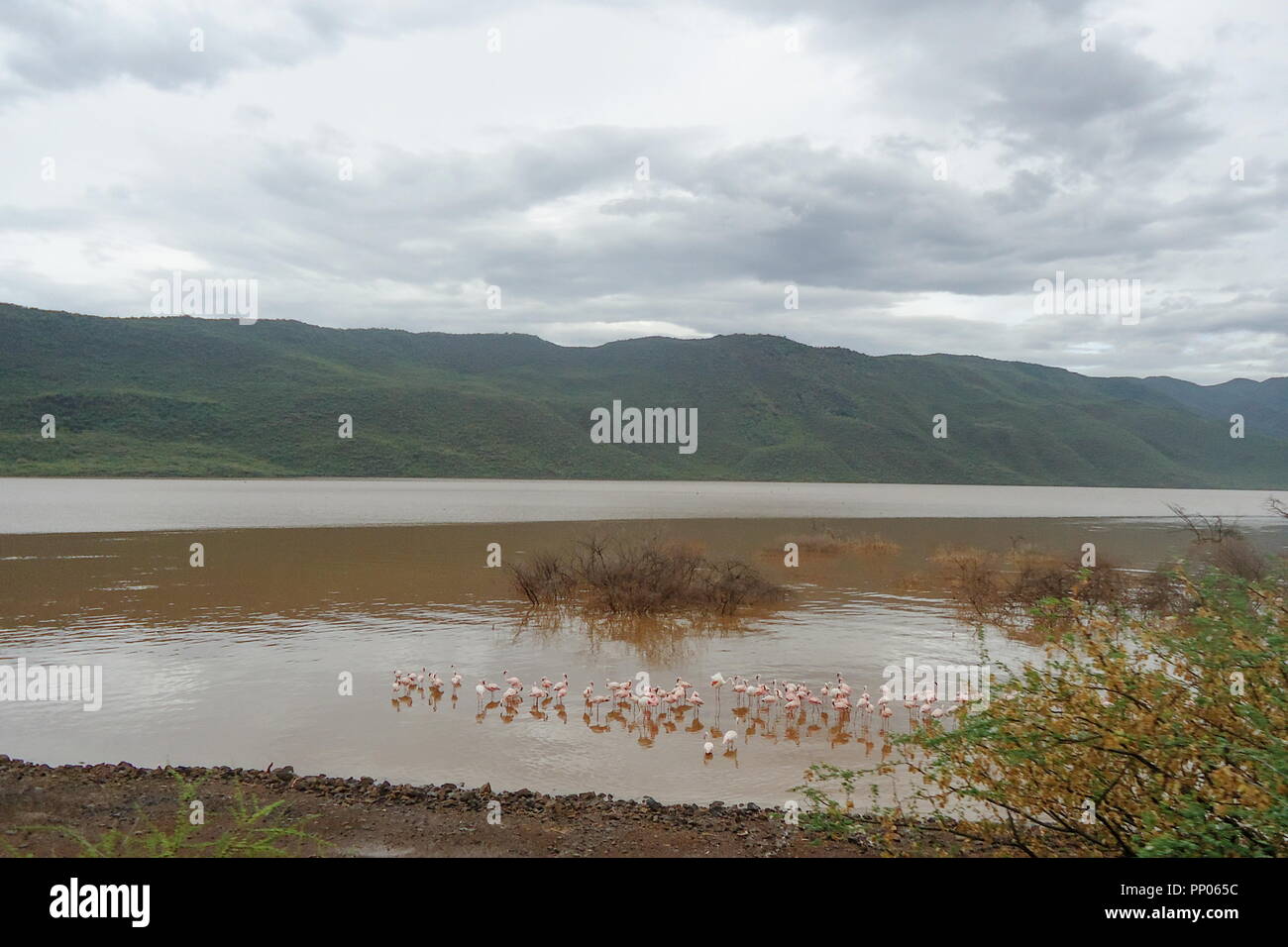 Green lake bogoria national park hi-res stock photography and images ...