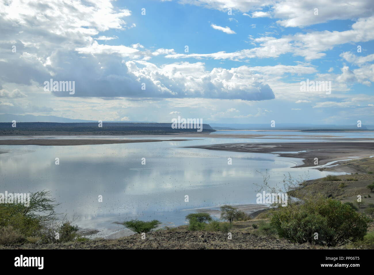 Flamingos in the beautiful landscapes of Lake Magadi, Rift Valley ...