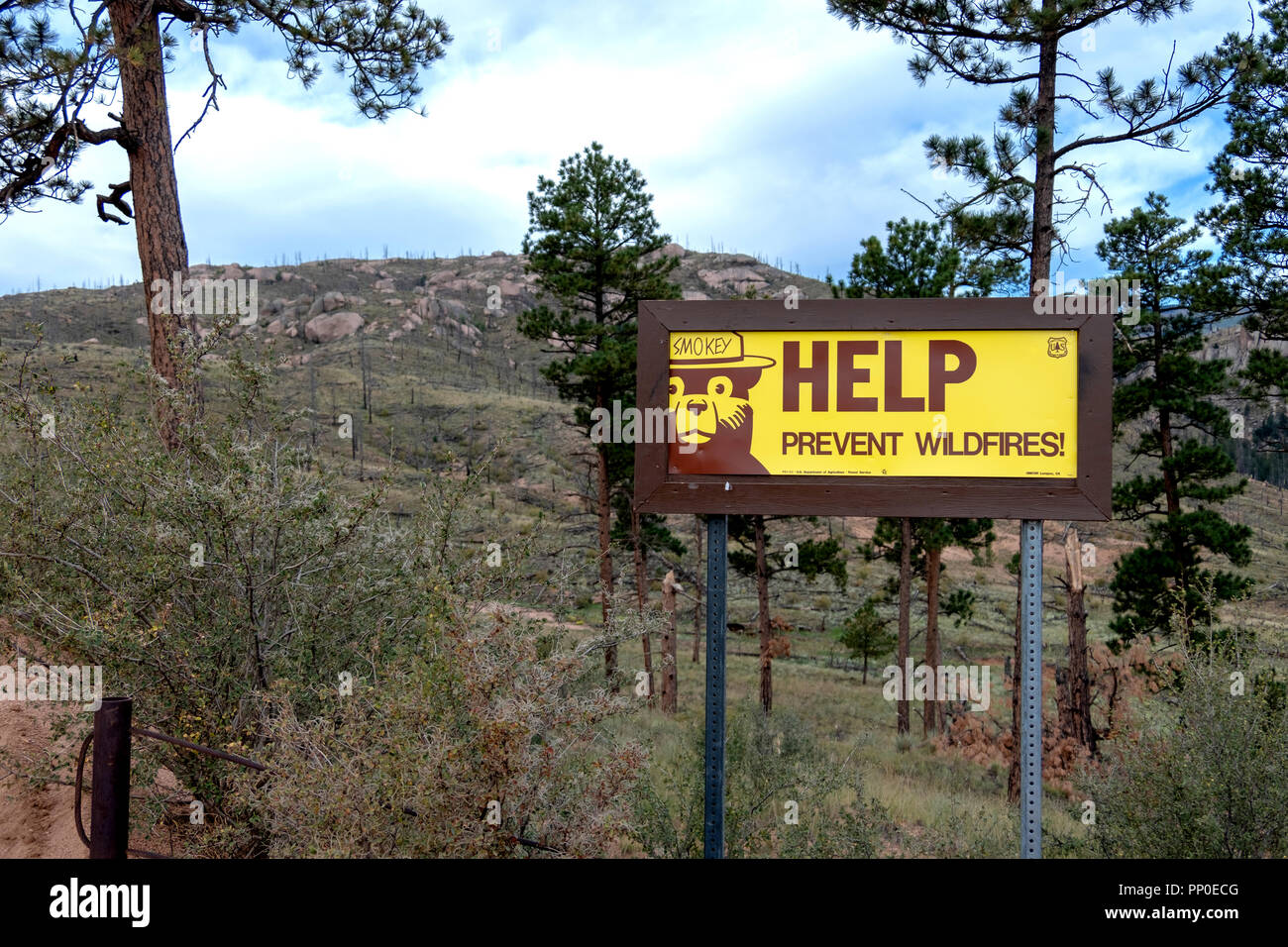 US Forest Service sign with Smokey Bear in the Rocky Mountains of ...