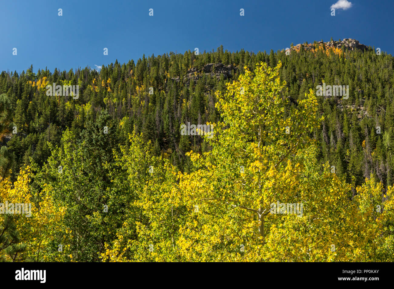View of Lumpy Ridge from the Cow Creek trail in Rocky Mountain National ...