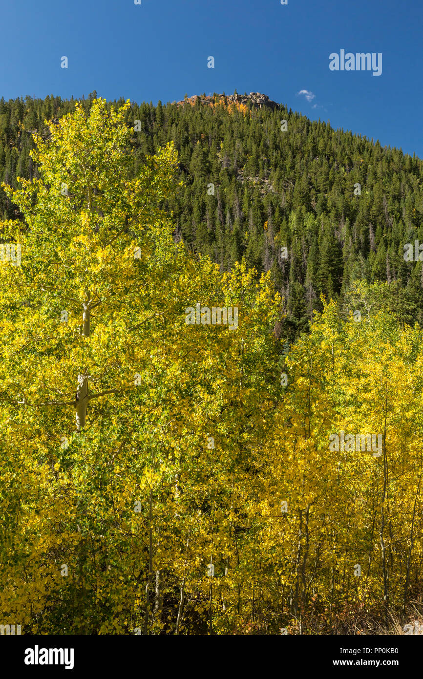 View of Lumpy Ridge from the Cow Creek trail in Rocky Mountain National ...