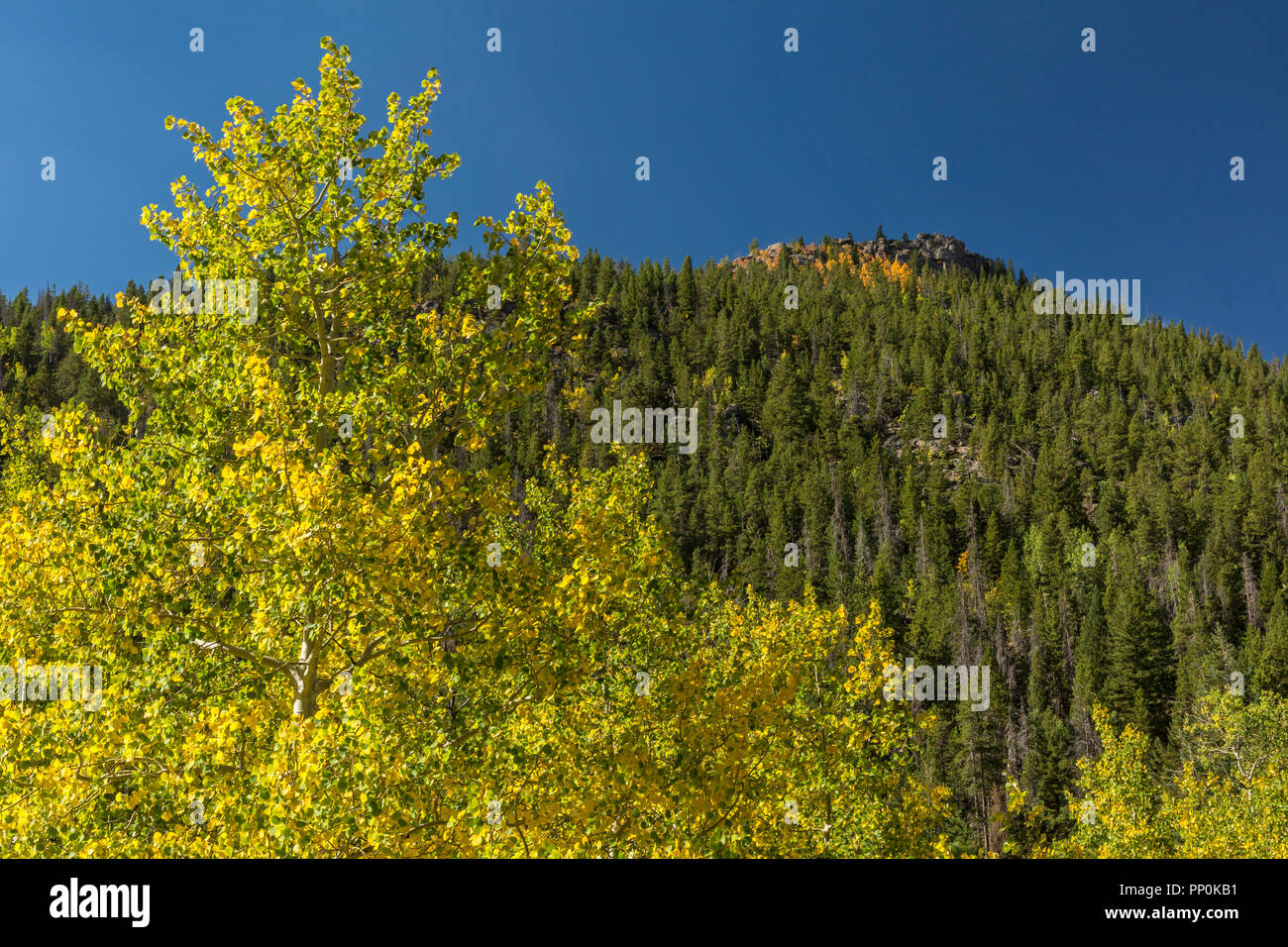 Lumpy hi-res stock photography and images - Alamy