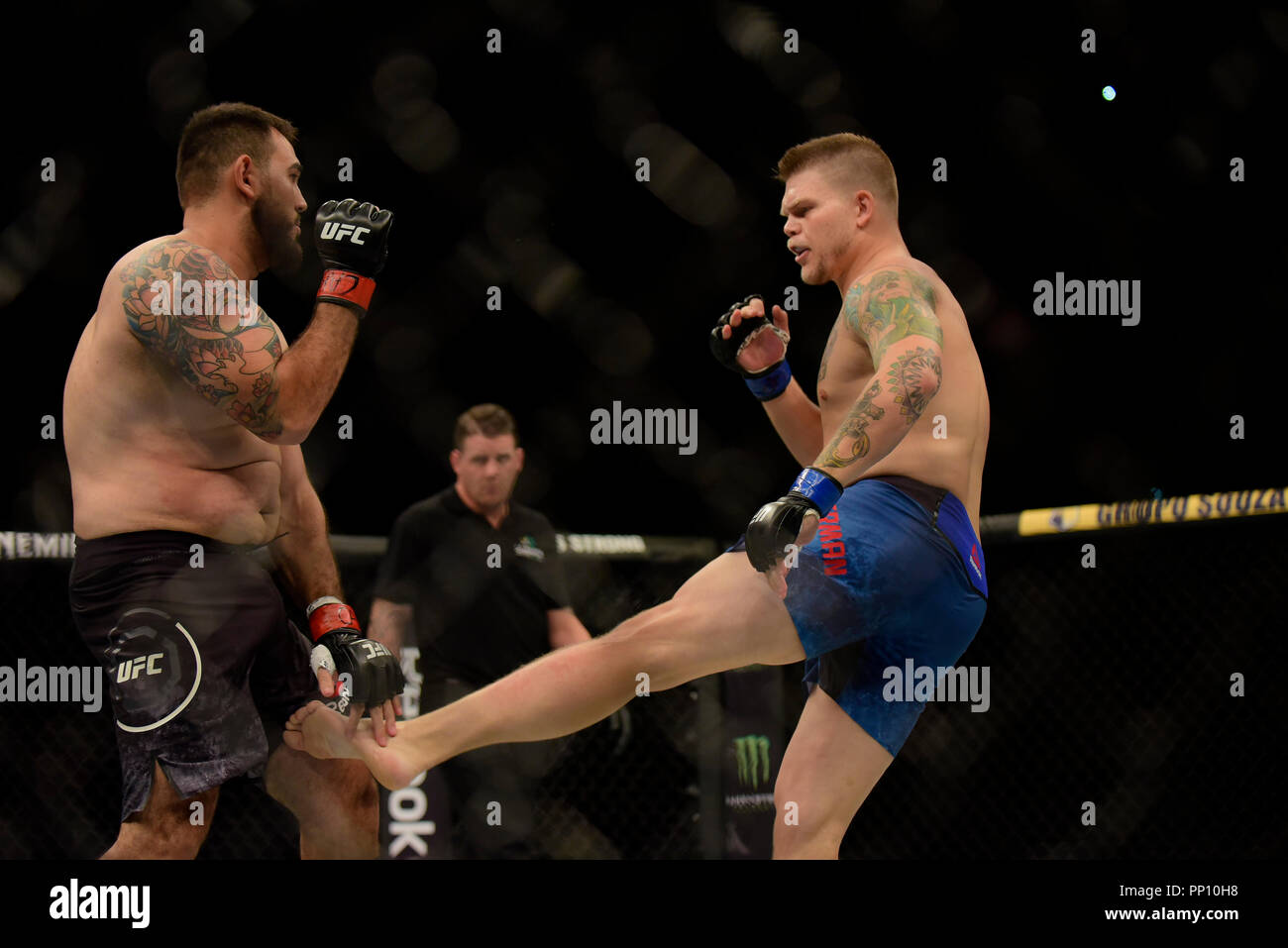 SÃO PAULO, SP - 22.09.2018: UFC FIGHT NIGHT MARRETA X ANDERS - Augusto ...