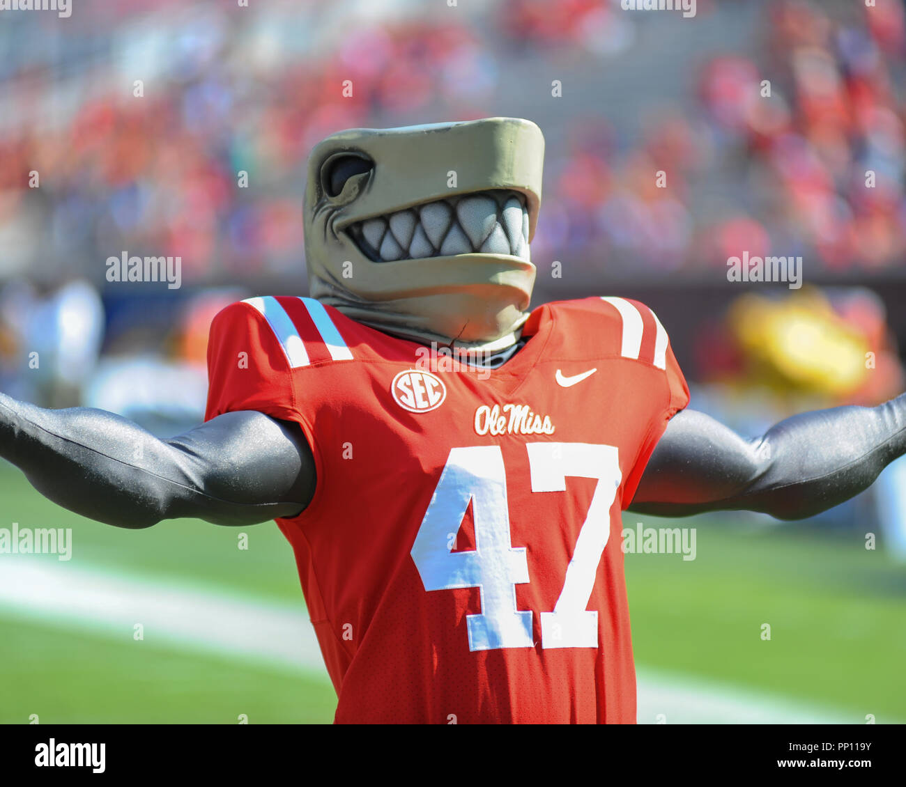 Vanderbilt Ole Miss Football Shark