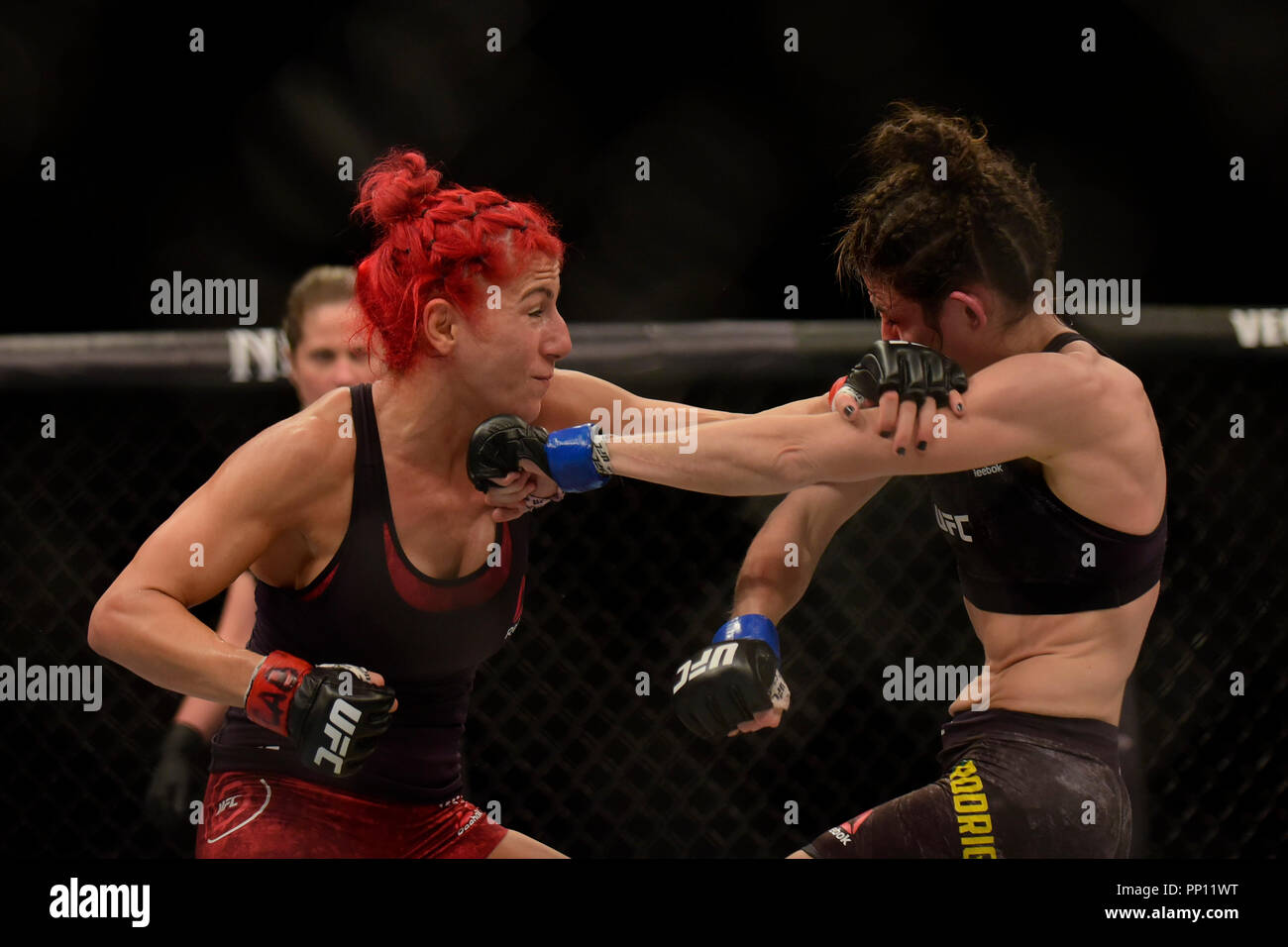 SÃO PAULO, SP - 22.09.2018: UFC FIGHT NIGHT MARRETA X ANDERS - Randa ...