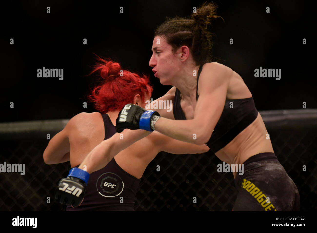 SÃO PAULO, SP - 22.09.2018: UFC FIGHT NIGHT MARRETA X ANDERS - Randa ...