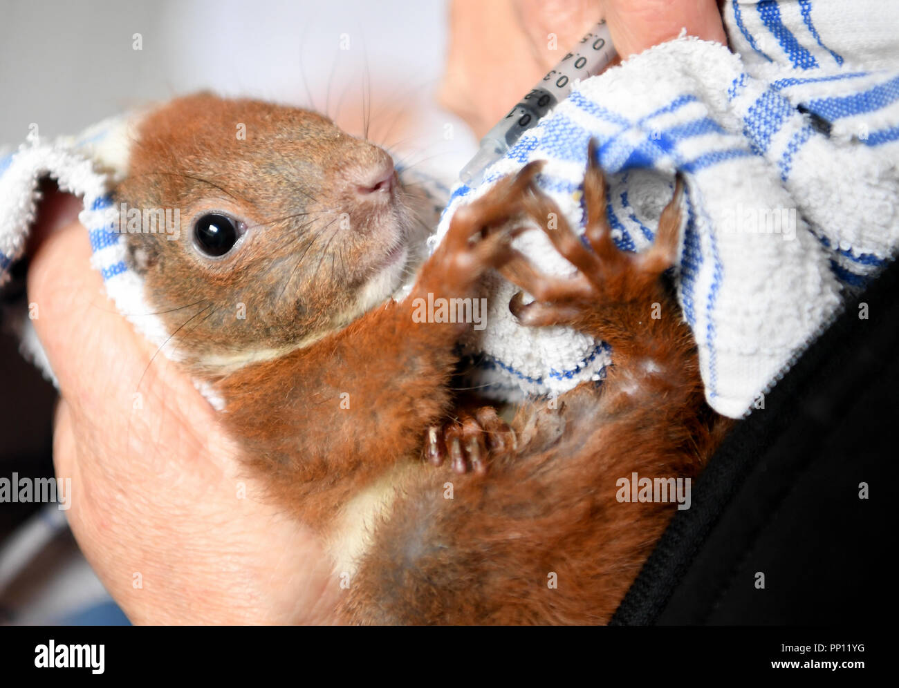 Wenn 150 hi-res stock photography and images - Alamy