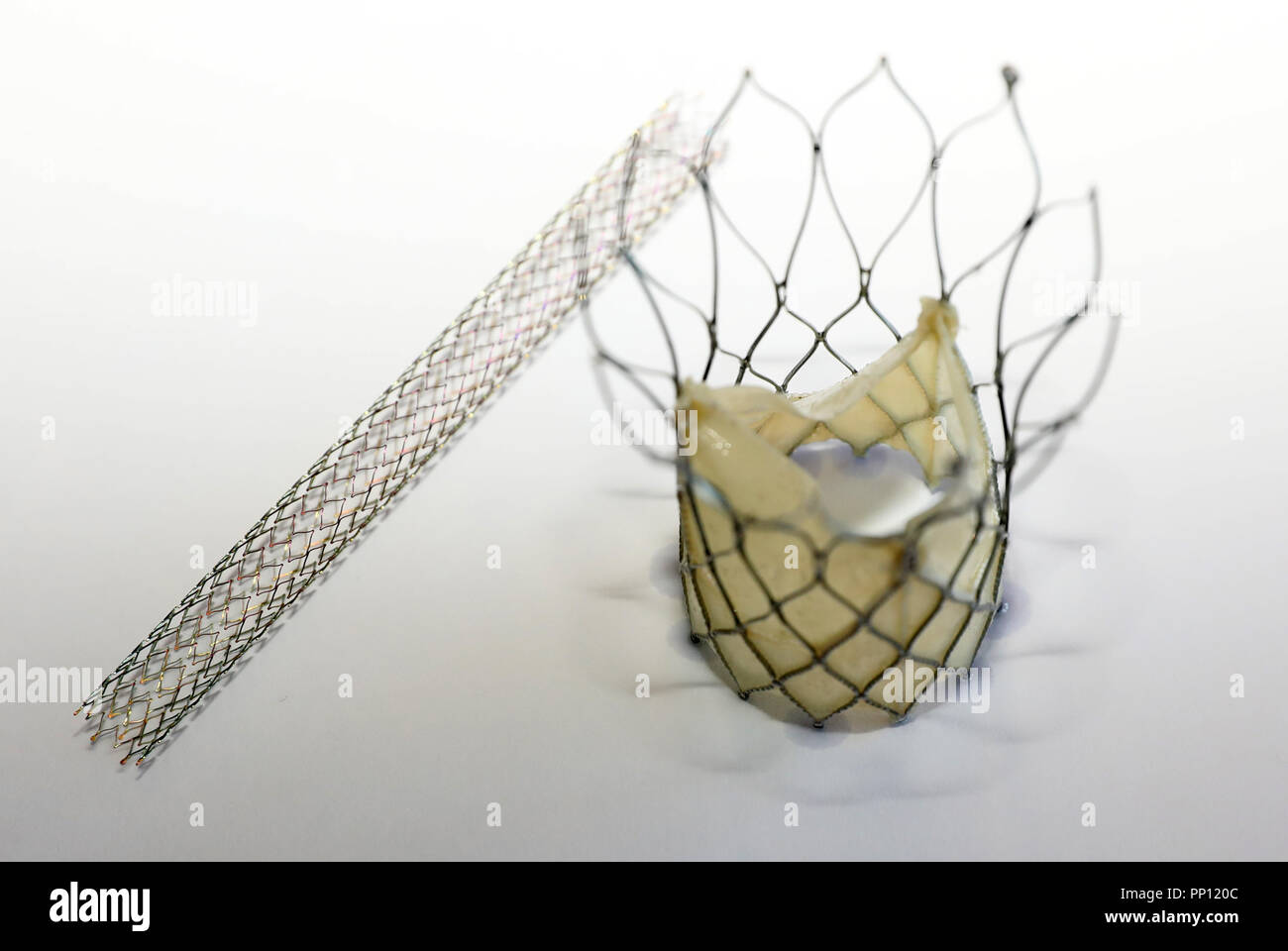 Transcatheter cardiovascular therapeutics hi-res stock photography and ...