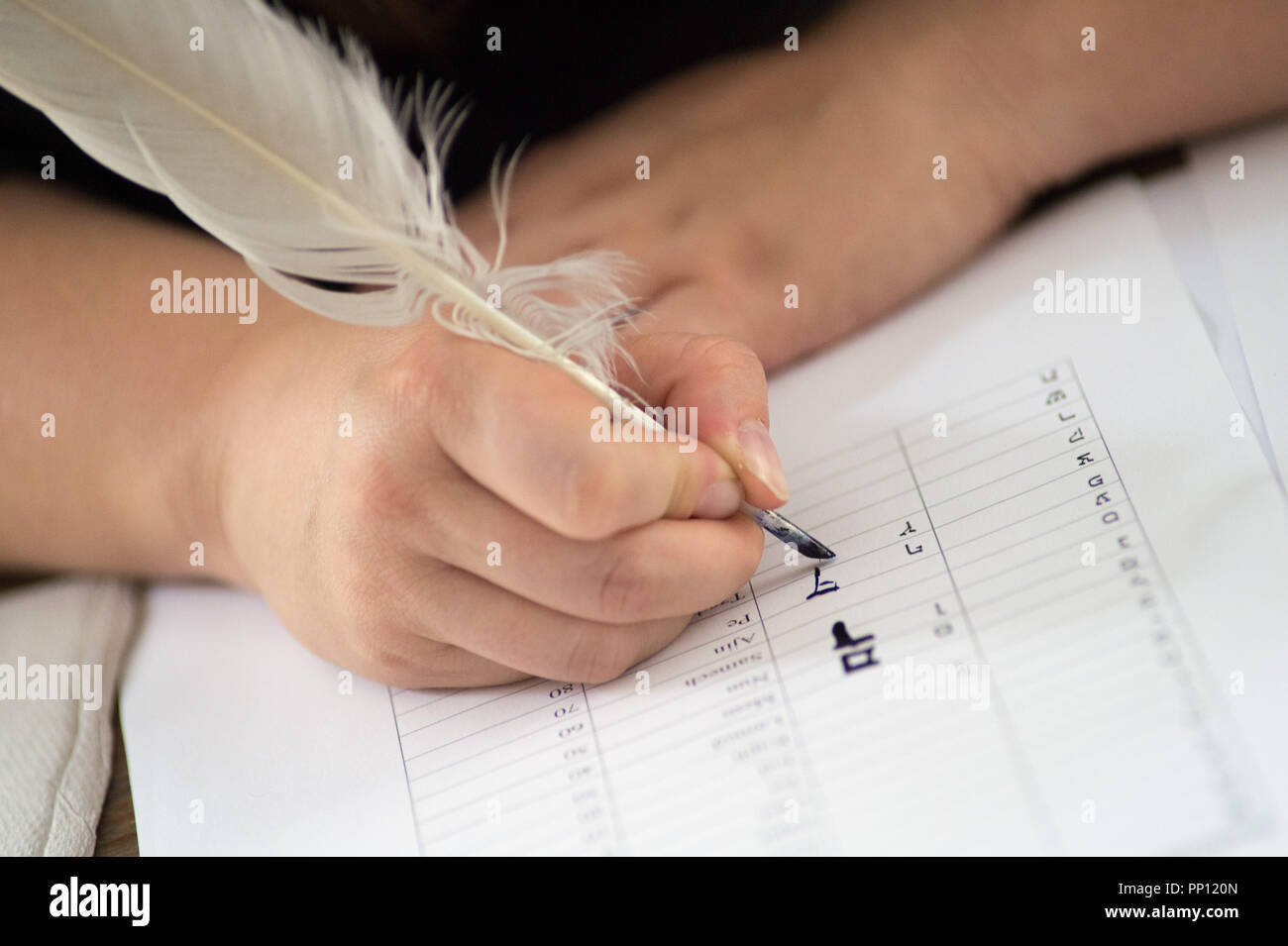 Goose quill hi-res stock photography and images - Alamy