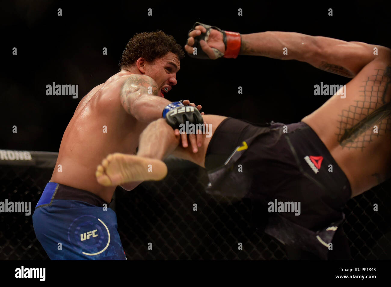 Sao Paulo, Brazil. 22 September 2018. Thiago Santos vs. Eryk Anders ...