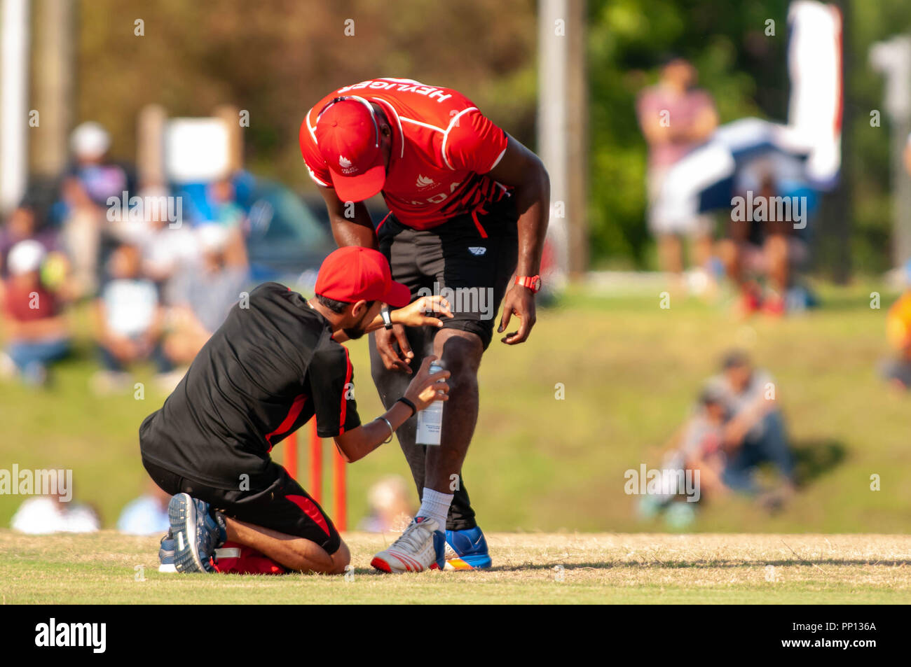Team usa cricket 2018 hi-res stock photography and images - Alamy
