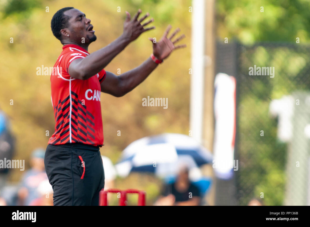 140 015 hi-res stock photography and images - Alamy