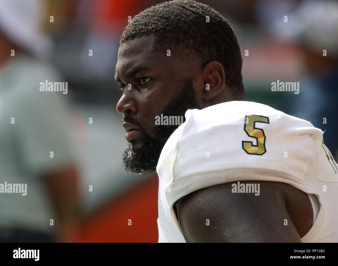 786 miami hi-res stock photography and images - Alamy