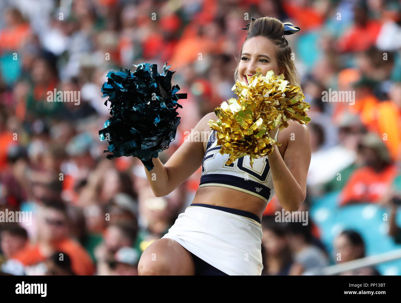 University of florida cheerleader hi-res stock photography and images ...