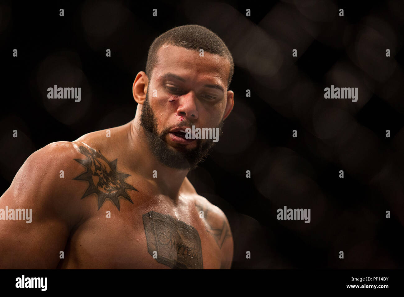 Thiago santos hi-res stock photography and images - Alamy