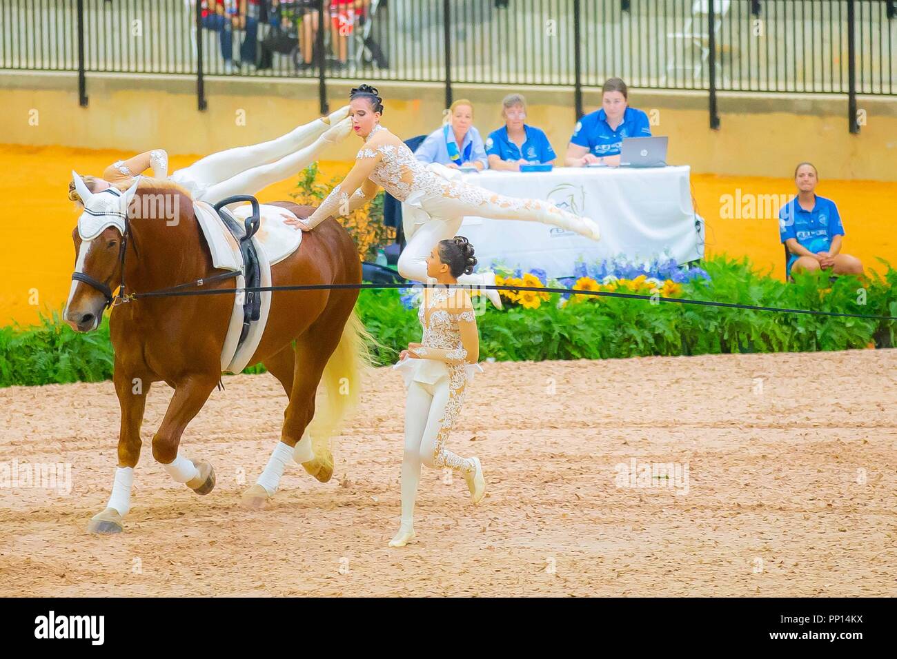 North Carolina, USA . 22nd Sep, 2018. Saacha de Amborossio. Curious ...