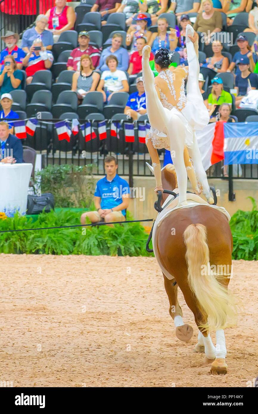 Curious george hi-res stock photography and images - Alamy