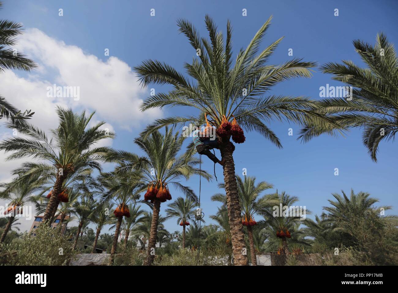 20180923 67 hi-res stock photography and images - Alamy