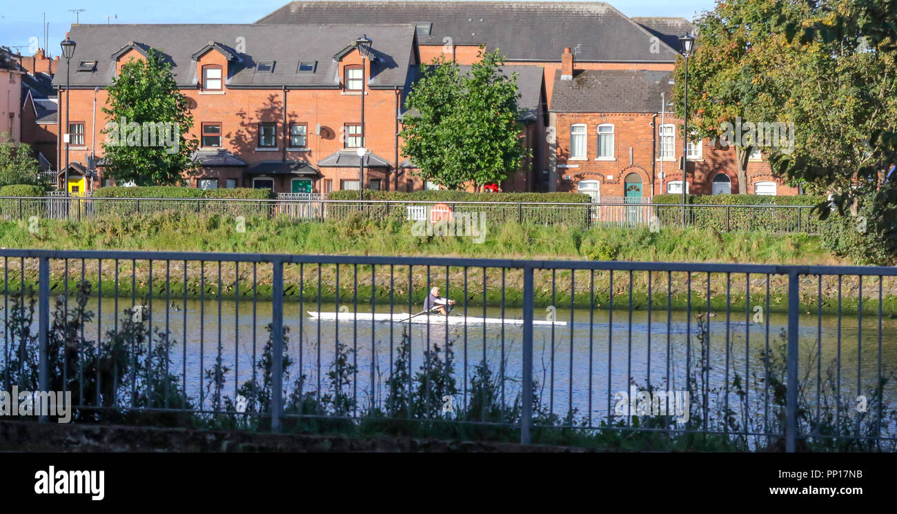 Sculling river lagan hi-res stock photography and images - Alamy