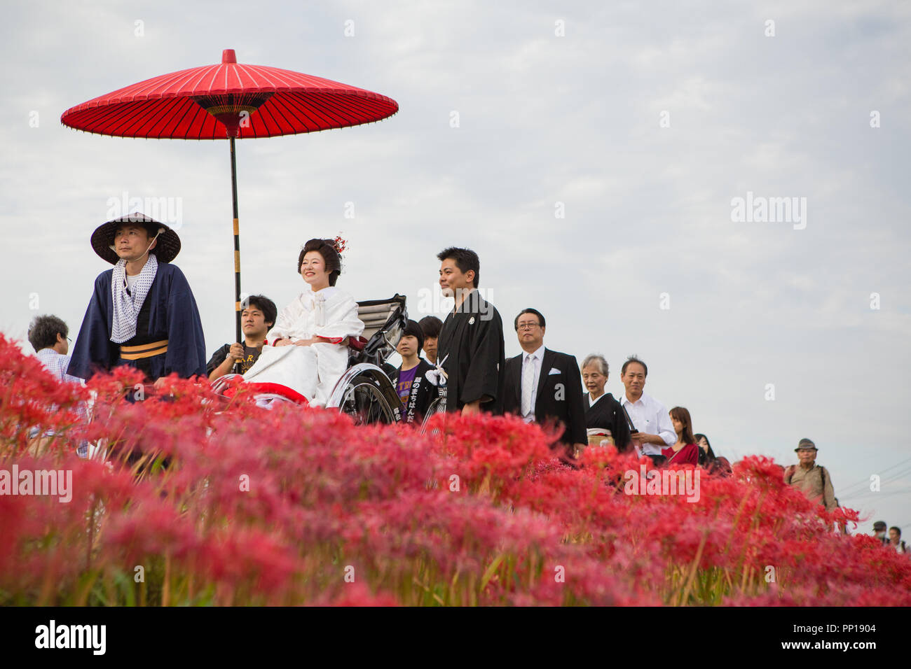 Handa, Aichi, Japan. 23rd Sep, 2018. 3 millions Lycoris Radiatas seen ...