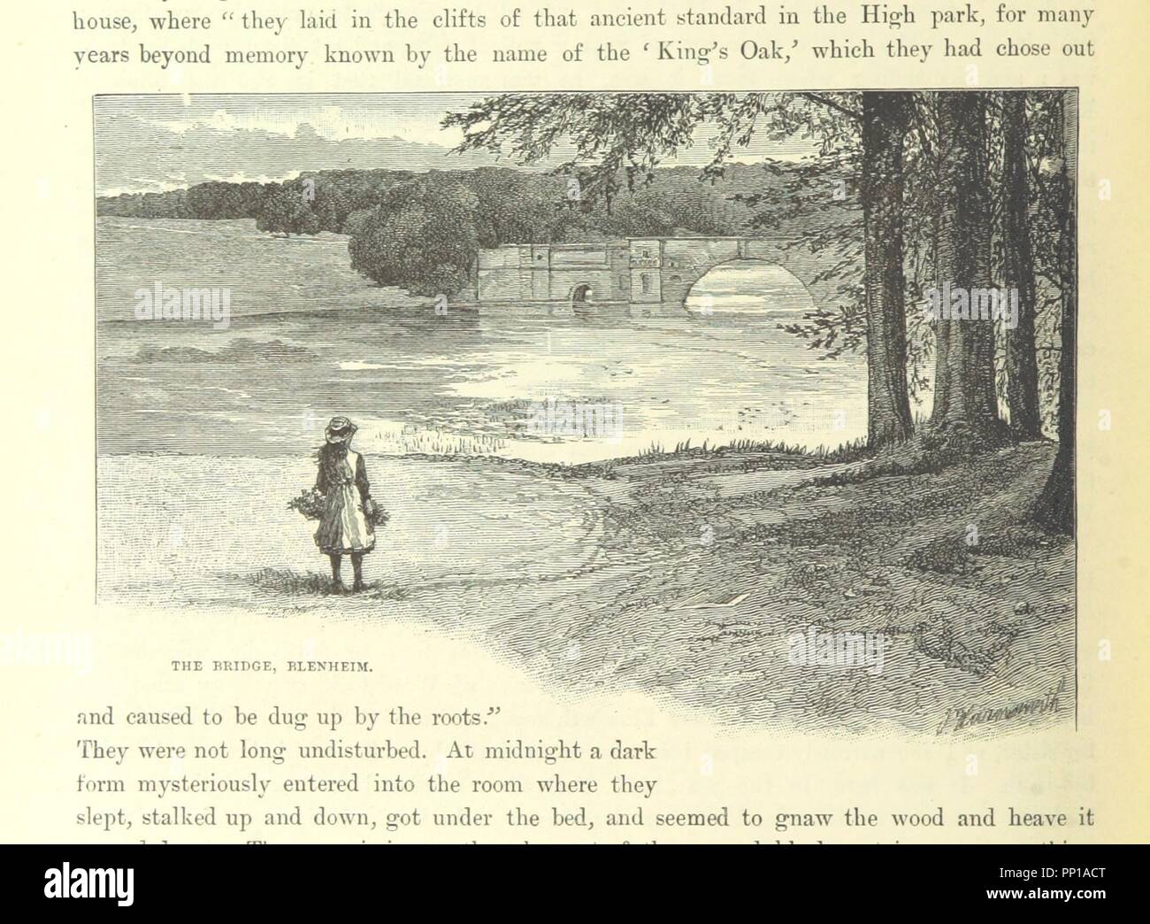 Image from page 518 of '[Our own country. Descriptive, historical ...