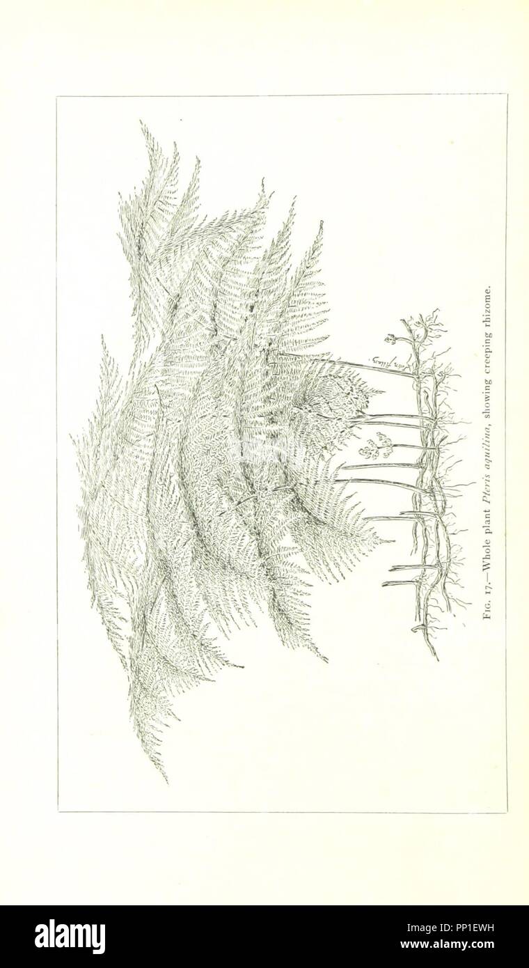 Ladrone islands hi-res stock photography and images - Alamy