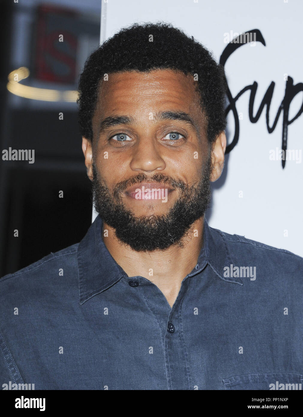 Film premiere of 'Support The Girls' - Arrivals Featuring: Michael ...