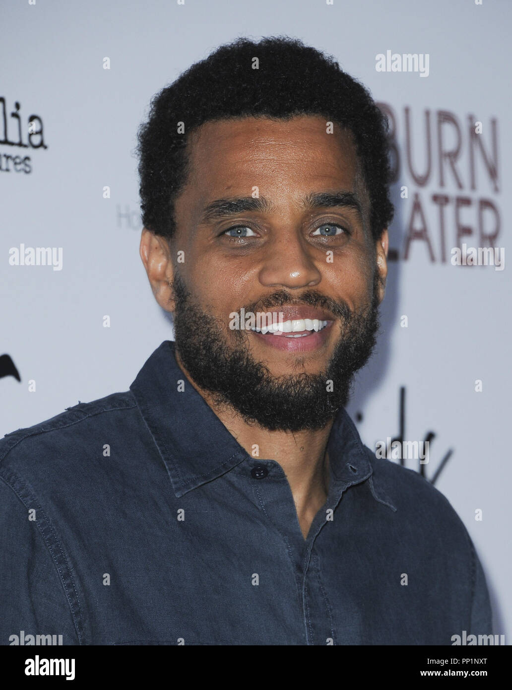 Film premiere of 'Support The Girls' - Arrivals Featuring: Michael ...