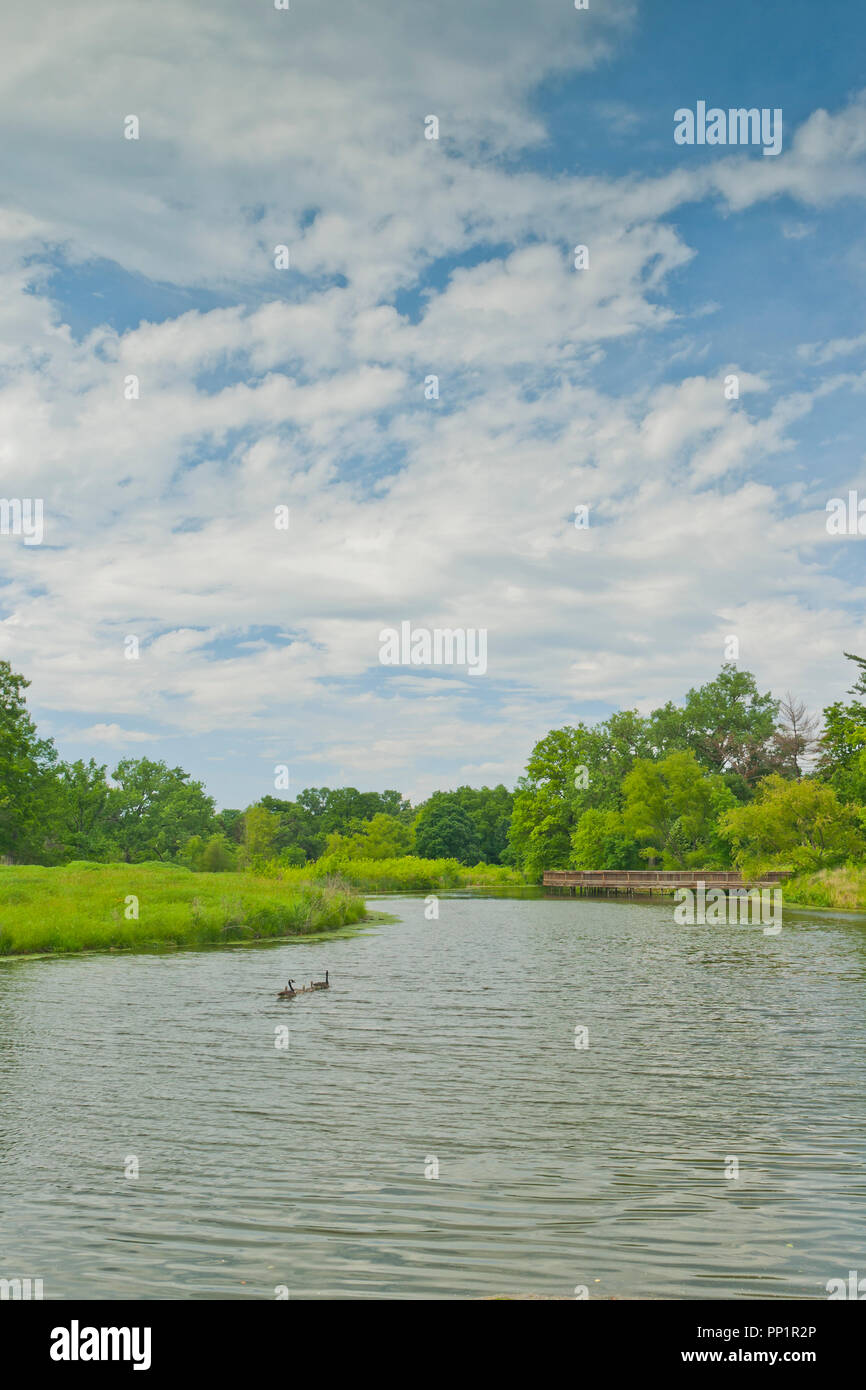 Goose lake prairie state park hi-res stock photography and images - Alamy