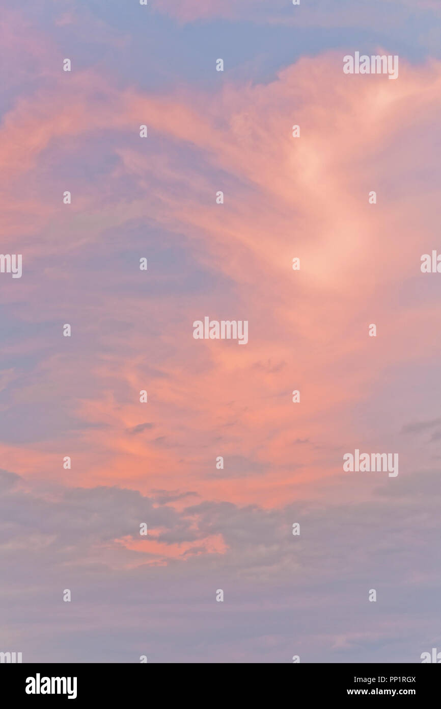 Vertebratus cloud hi-res stock photography and images - Alamy