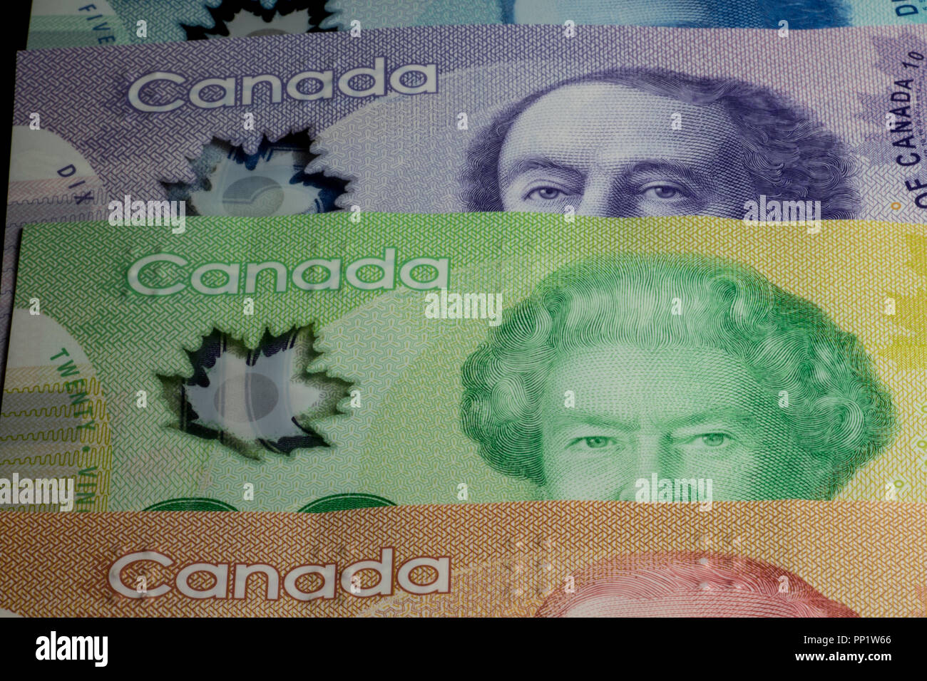 Money spread on a table close up and detailed. Macro of money design ...