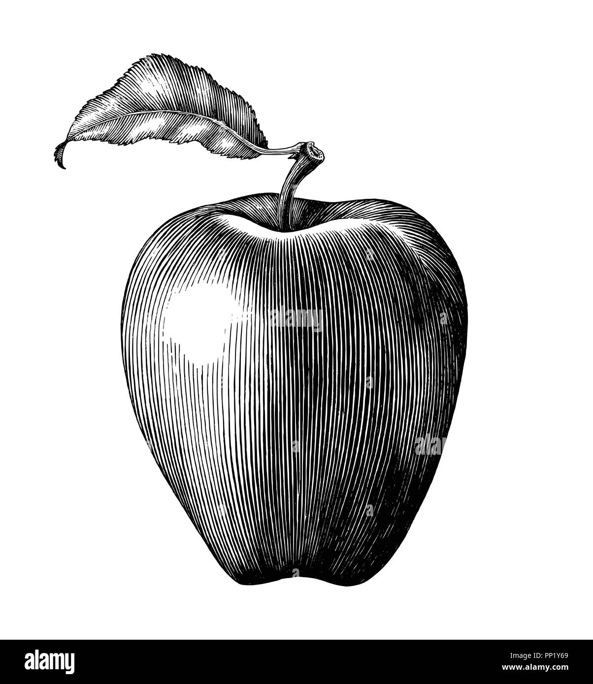 Apple Fruit Drawing