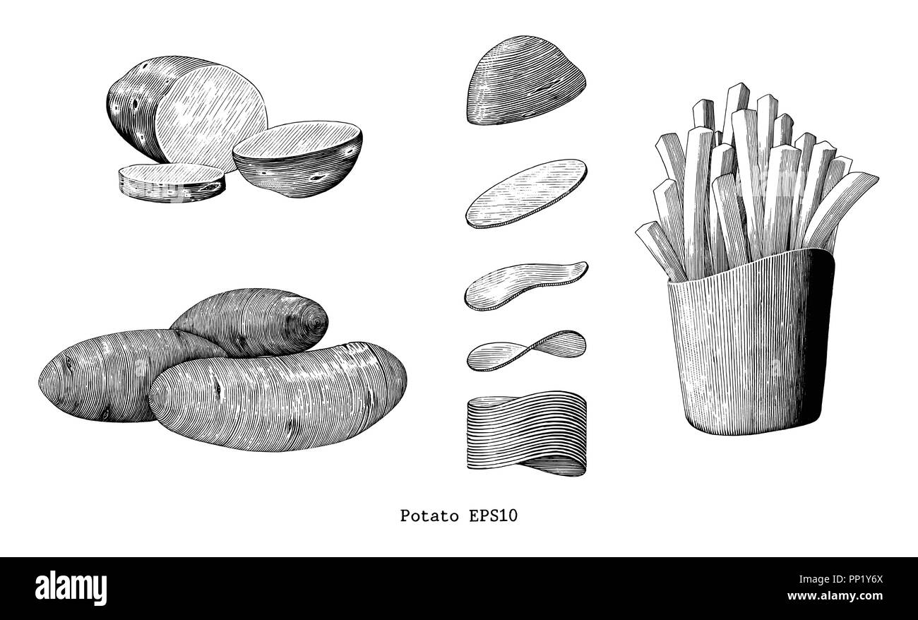 Potatoes white background Stock Vector Images - Alamy