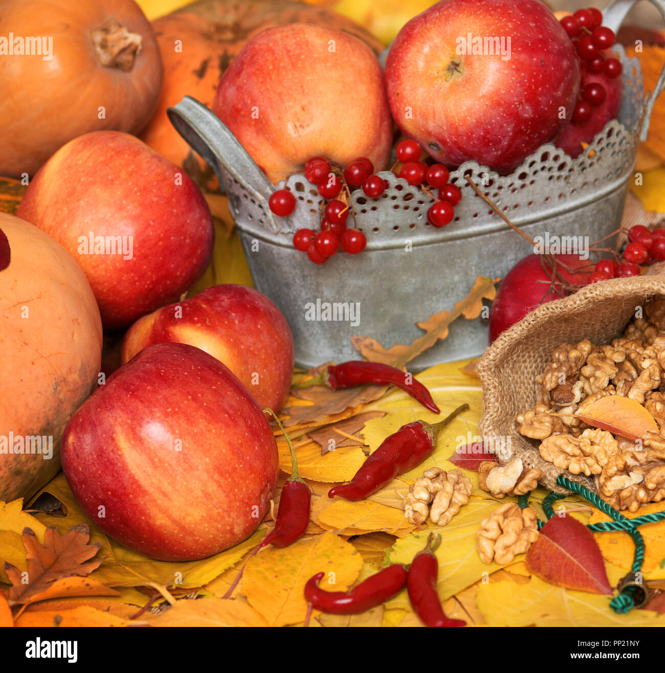 autumn harvest - fruits and vegetables are on fallen yellow leaves ...
