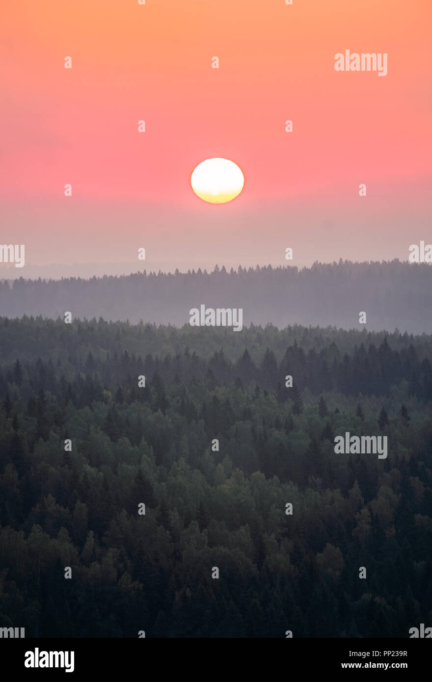 Sunny morning dawn sunrise rising sun hi-res stock photography and ...