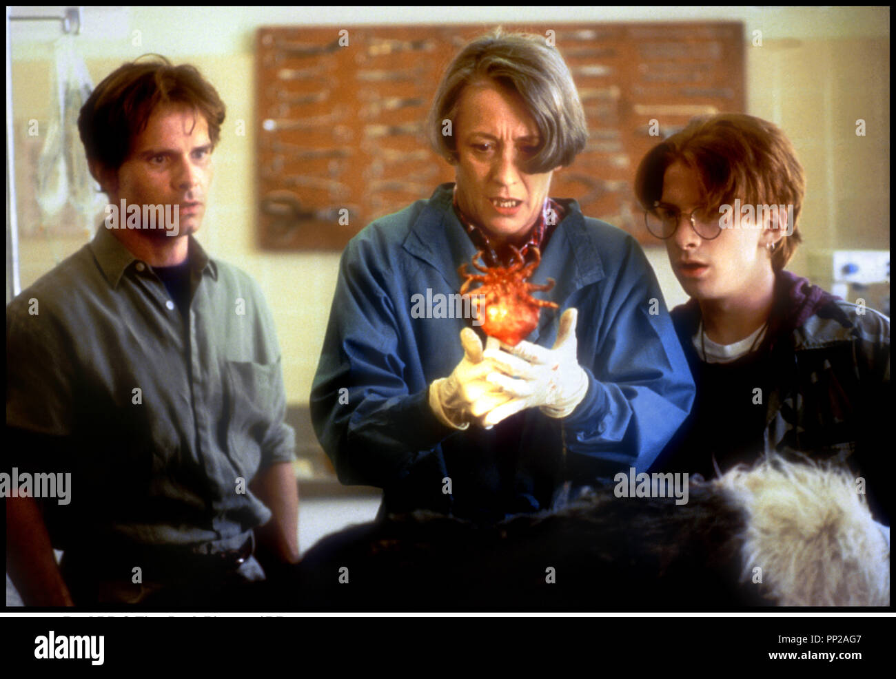 Peter Scolari Stock Photos & Peter Scolari Stock Images - Alamy