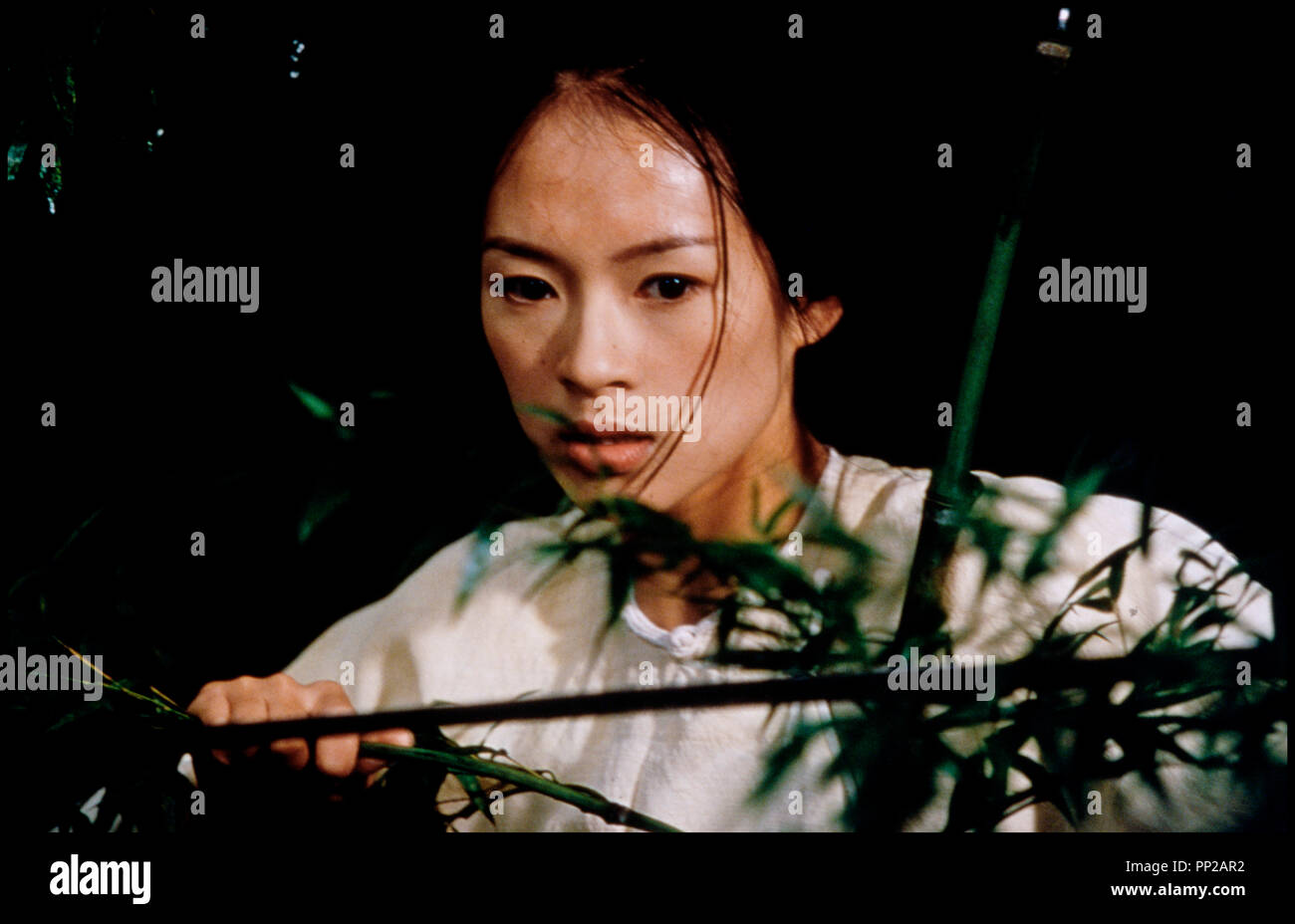 Crouching Tiger Hidden Dragon 2000 Stock Photos & Crouching Tiger ...