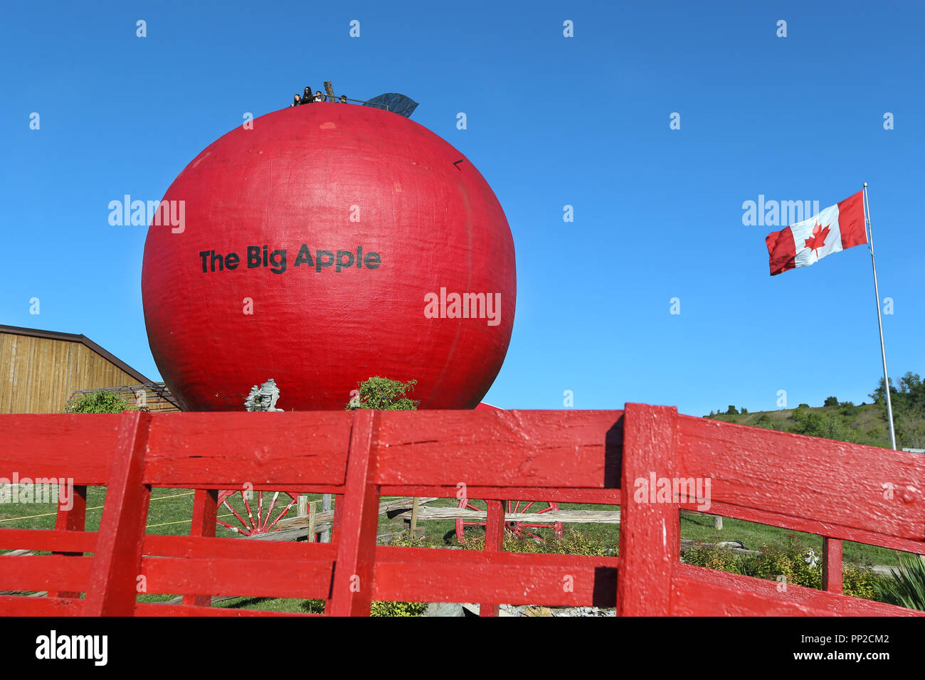 Colborne hi-res stock photography and images - Alamy