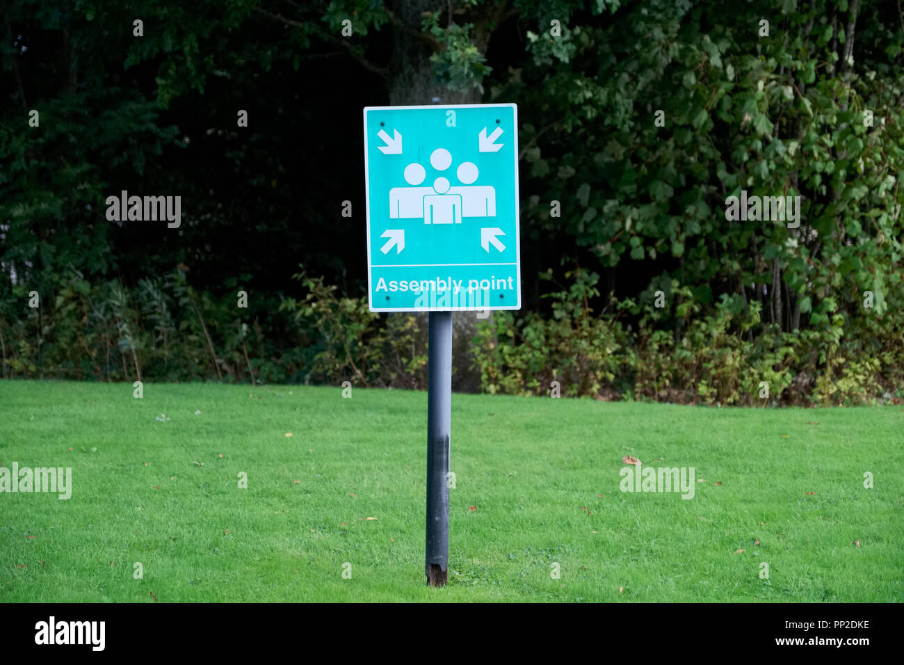 Fire assembly point sign at workplace car park Stock Photo - Alamy