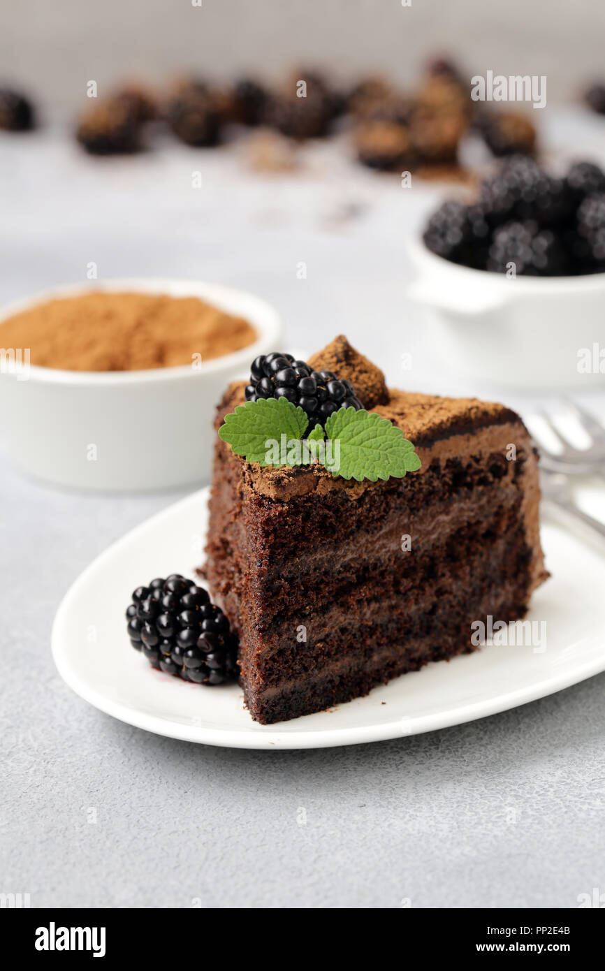 super chocolate truffle cake with black raspberries Stock Photo - Alamy