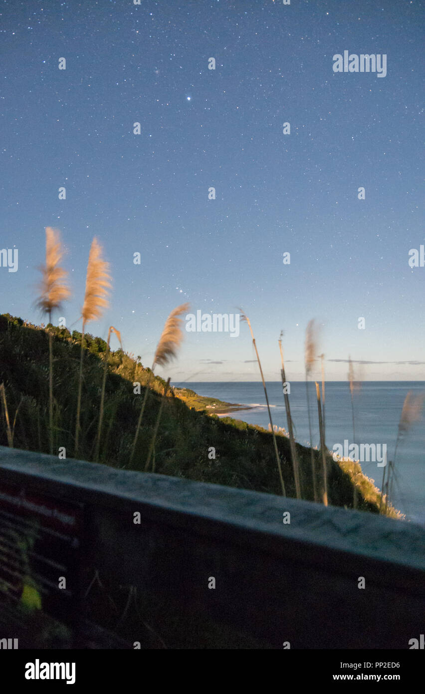 Manu Bay at Night being lit by the moonlight & orions nebula visible ...