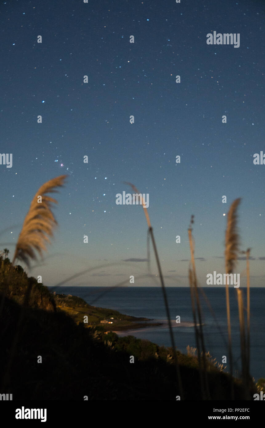 Manu Bay at Night being lit by the moonlight & orions nebula visible ...