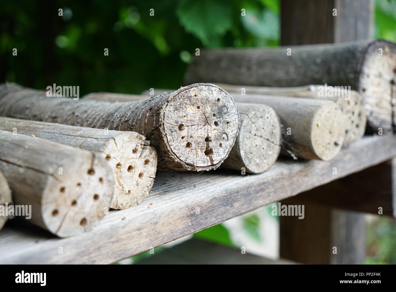 An insect hotel or insect house is an artificially created nesting and ...